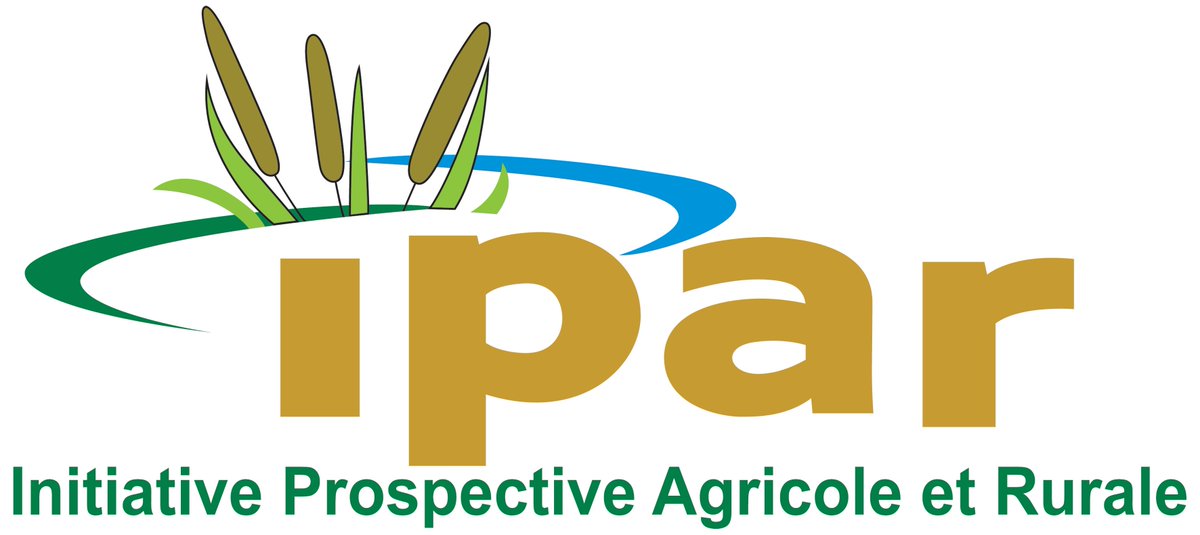 IPAR recrute un(e) responsable de la gestion des connaissances